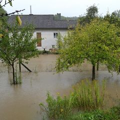 Hochwasser: Pegel von Elbe und Donau steigen weiter | STERN.de