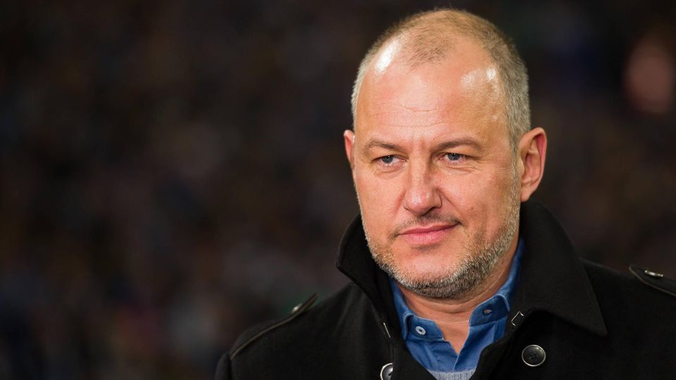 Frank Rosin: Was sagt der Tierschutzbund zu den Tierquälerei-Vorwürfen ...