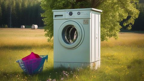 Ariel und WWF: Deutsche waschen kälter und schonen damit die Natur ...