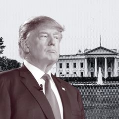 Wahlsystem USA: Der Weg zur Präsidentschaftswahl 2024 erklärt | STERN.de