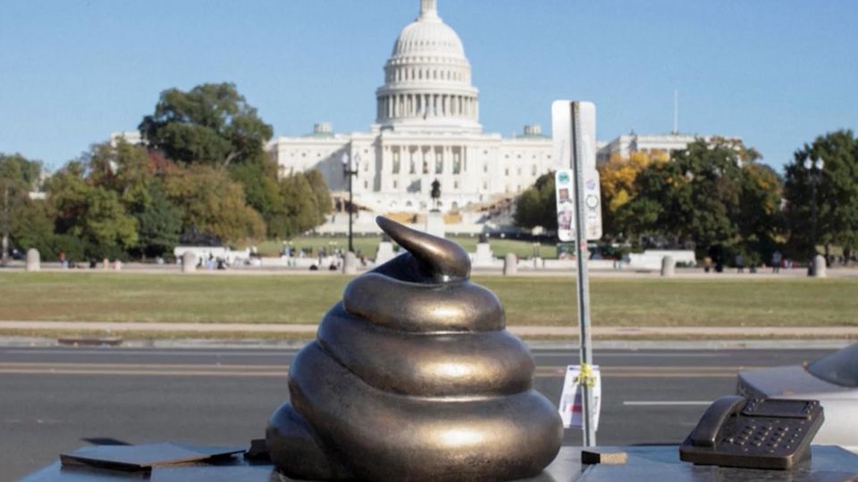 Washington D.C: Kot-Statue soll an Kapitolsturm erinnern | STERN.de