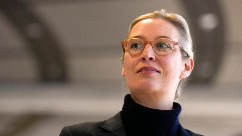 Alice Weidel und Elon Musk: Ist das Gespräch eine illegale Spende ...