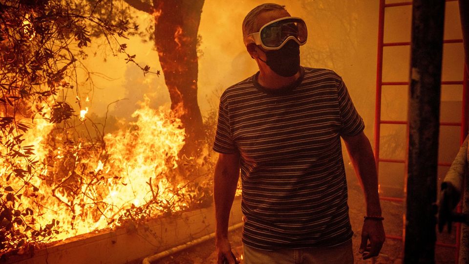 Los Angeles: die Bilder der Waldbrände in der Millionenmetropole | STERN.de