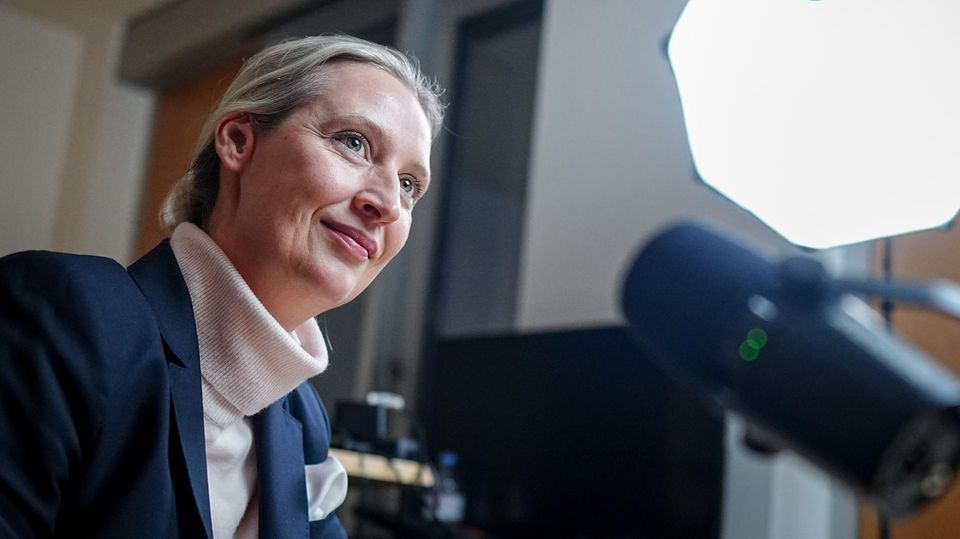 Alice Weidel im Gespräch mit Elon Musk: "Hitler war Kommunist" | STERN.de