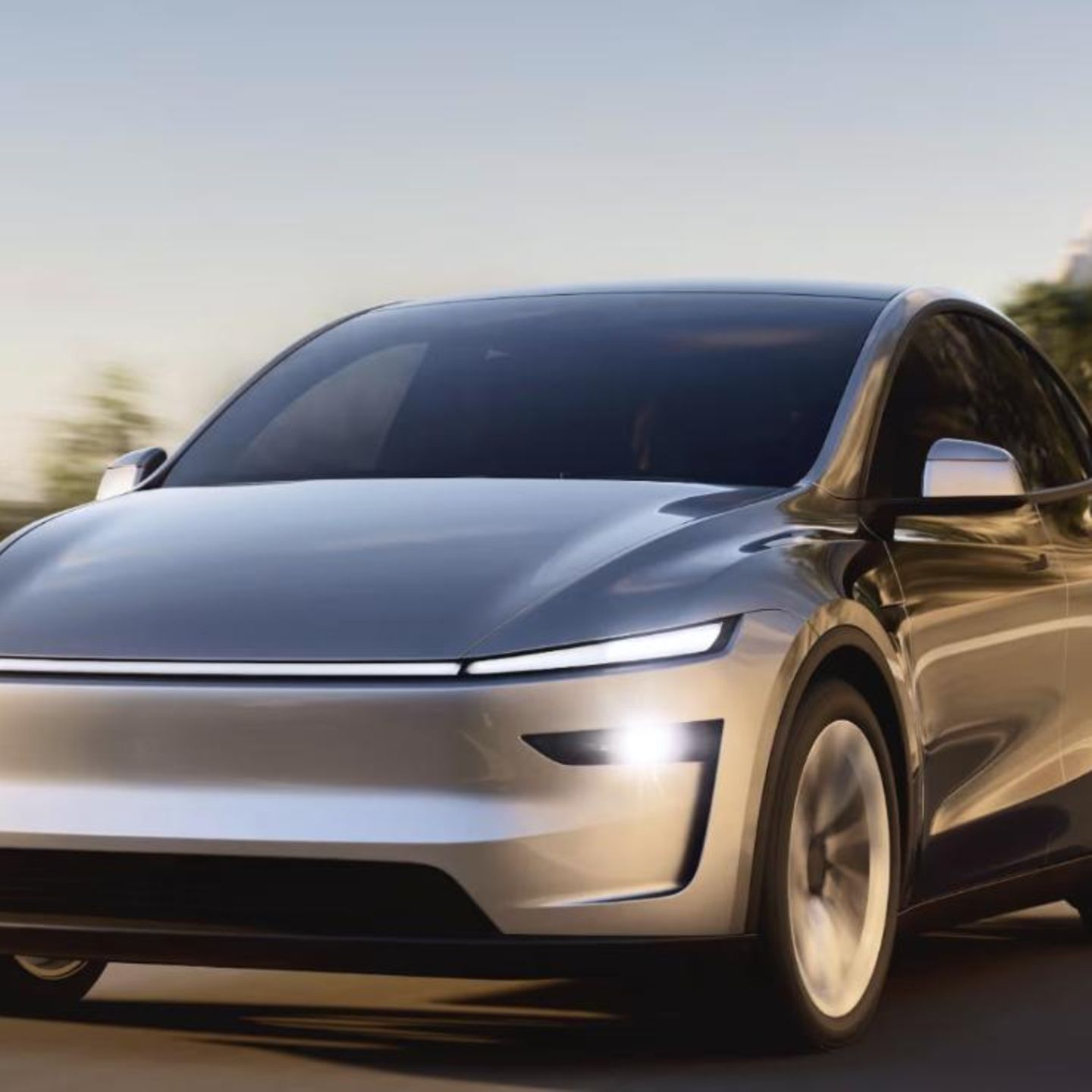 The model y store