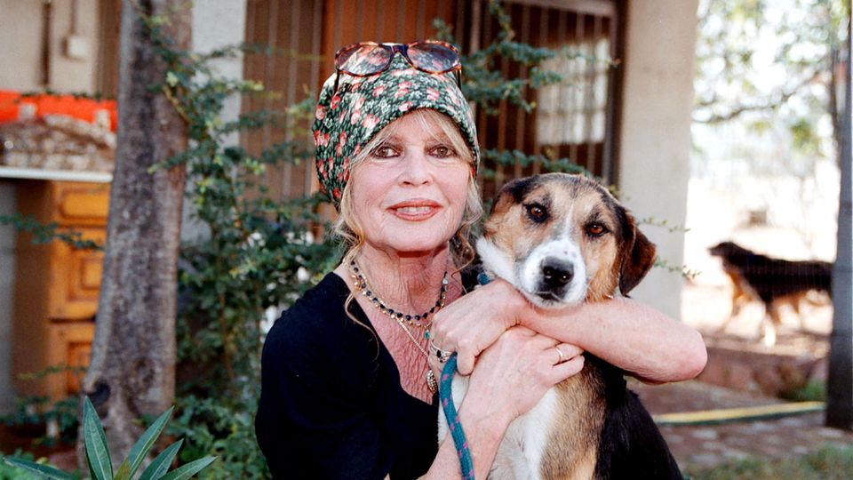 Brigitte Bardot: ihr Leben in Bildern | STERN.de