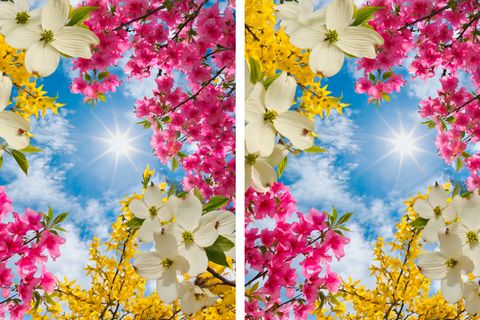 Augentest | STERN.de