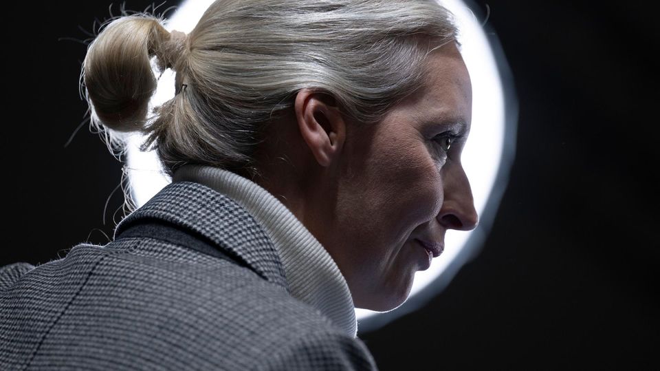 Alice Weidel und ihr unheimlicher Aufstieg an die Spitze der AfD | STERN.de Alice Weidel und ihr unheimlicher Aufstieg an die Spitze der AfD | STERN.de