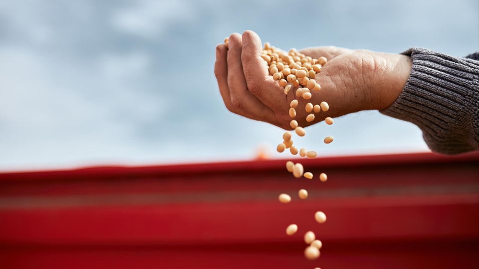 Gute Fette finden: Lebensmittel, die voller Omega-3-Fettsäuren stecken ...