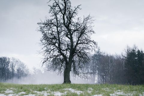 Juni 2025 war heißester jemals in Westeuropa gemessener Juni | STERN.de