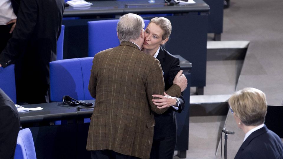 Alice Weidel: Die Karriere der AfD-Kanzlerkandidatin im Jahr 2025 in ...