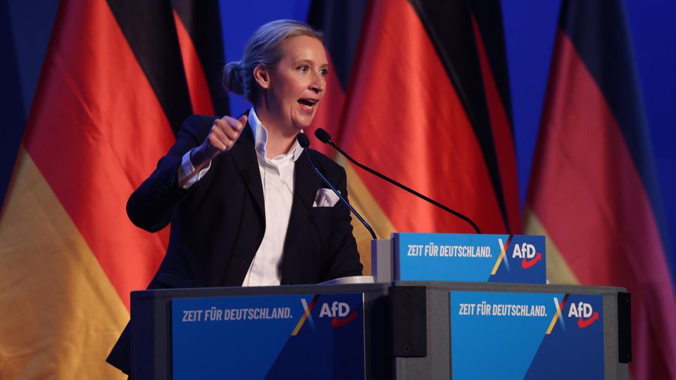 Alice Weidel: Die Karriere der AfD-Kanzlerkandidatin im Jahr 2025 in ...