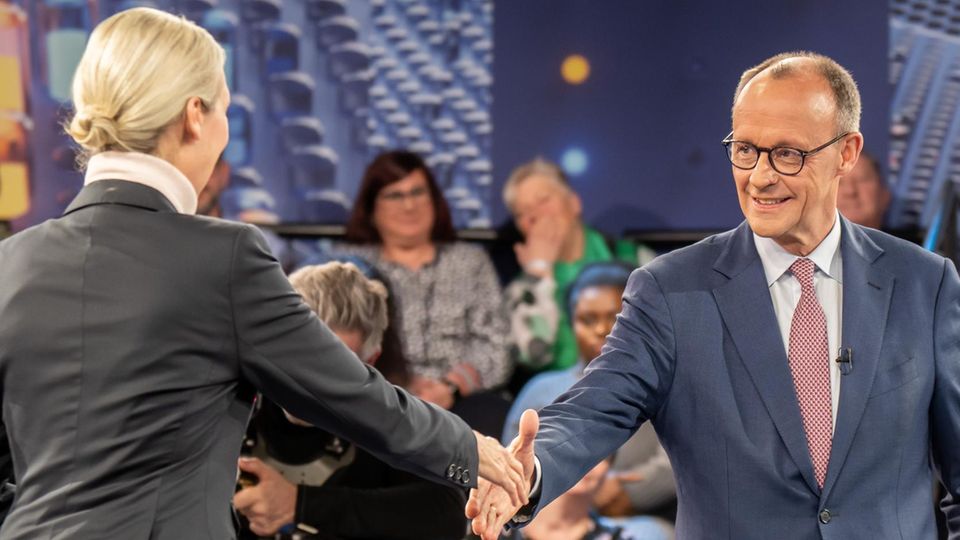 Friedrich Merz zu Weidel: "Entscheidung fest getroffen: mit Ihnen nicht" | STERN.de