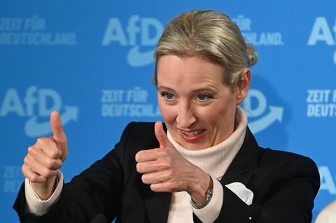 Münchner Sicherheitskonferenz: Warum Christoph Heusgen wirklich weinte ...