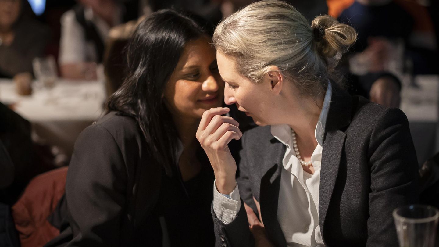 Alice Weidel Partnerin Bild Ein Blick in das Privatleben einer ...