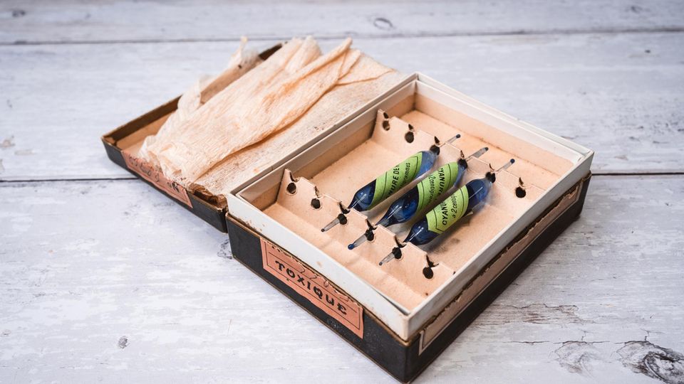 Von Arsen bis Zyankali: Das sind die tödlichsten Gifte der Welt | STERN.de