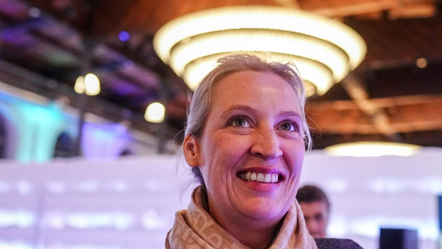 Warum Alice Weidel jetzt doch noch vor der Bundestagswahl zittern muss ...