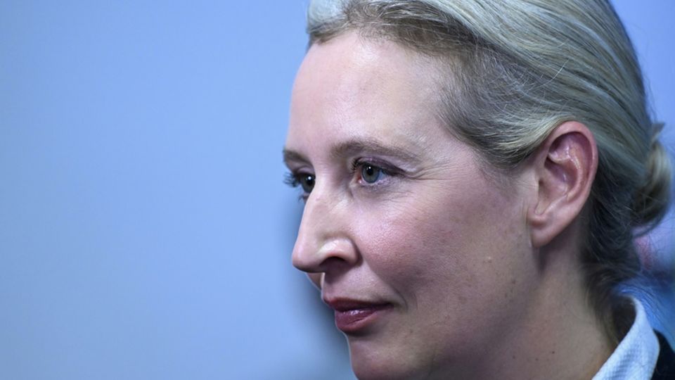 AfD-Chefin Weidel holt Wahlkreis nicht | STERN.de