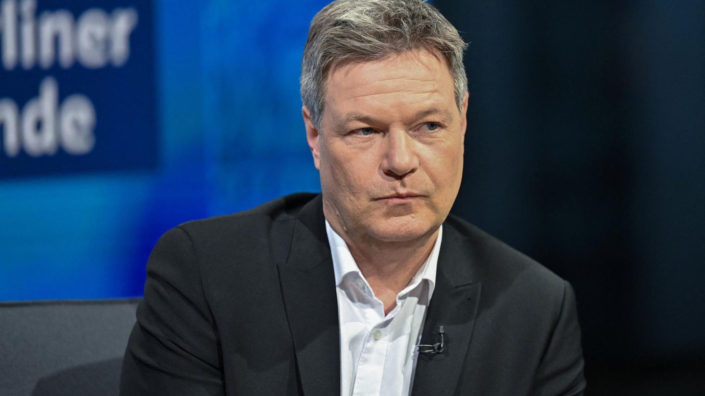 Robert Habeck gegen Weidel: "Glaubt ihr nicht, das ist eine Lüge ...