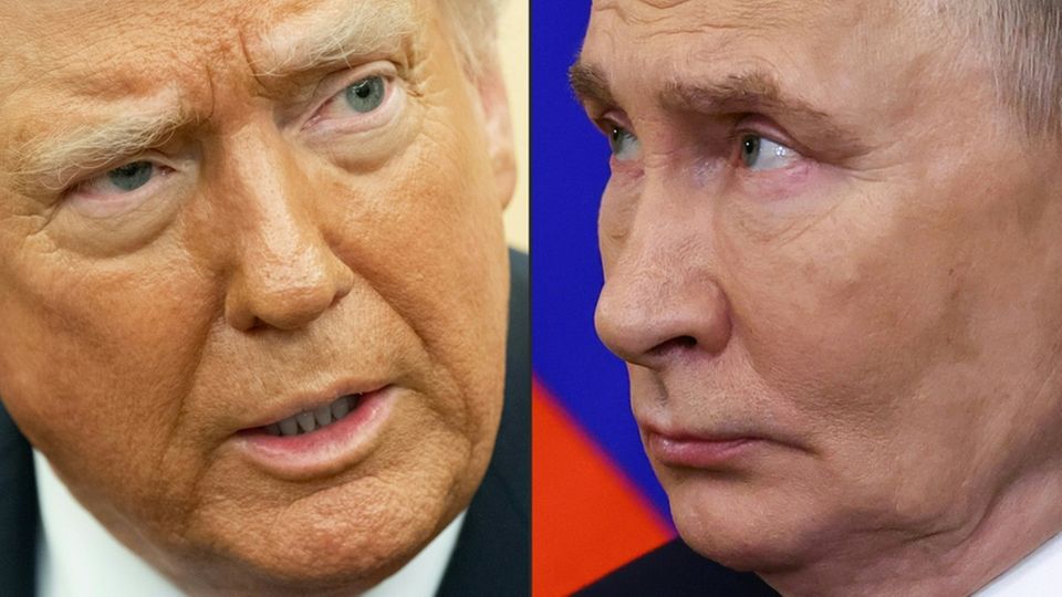 Trump setzt auf baldiges Gespräch mit Putin | STERN.de
