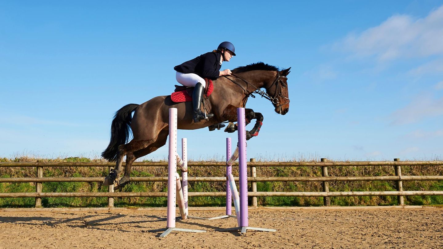 Madlen Boy: Springreiterin stirbt mit 19 nach Trainingsunfall | STERN.de