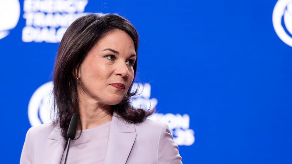 Heusgen übt Kritik an Baerbocks Nominierung für UN-Spitzenjob | STERN.de