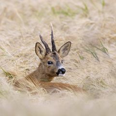Newsticker - Aktuelle Nachrichten im Überblick | STERN.de