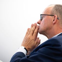 AfD-Gutachten geleakt: Das schreibt der Verfassungsschutz über die AfD | STERN.de