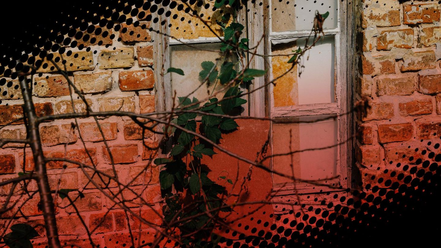 Podcast "Luchterhandt" – Folge 1: "Hier ist Alex verbuddelt" | STERN.de