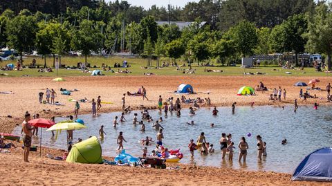 Brombachsee: Riesenwels attackiert Badegäste – Polizist erschießt Tier | STERN.de
