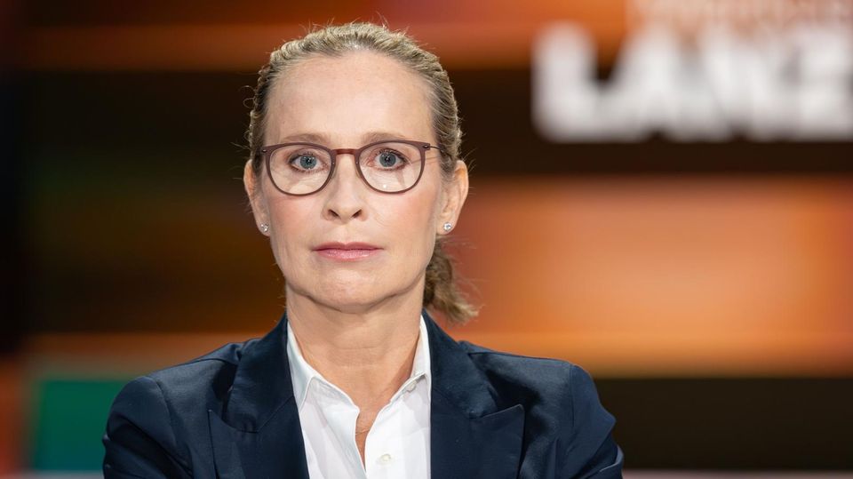 Verfassungsgericht: "Brosius-Gersdorf-Rückzug wäre gut – aber nicht fürs Land" | STERN.de