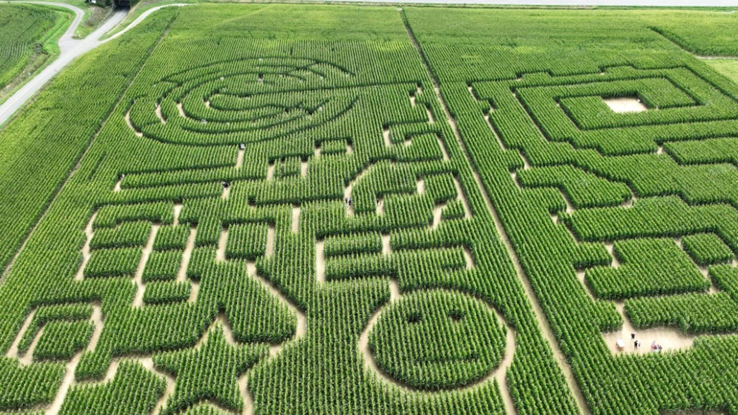 Figuren im Feld | STERN.de