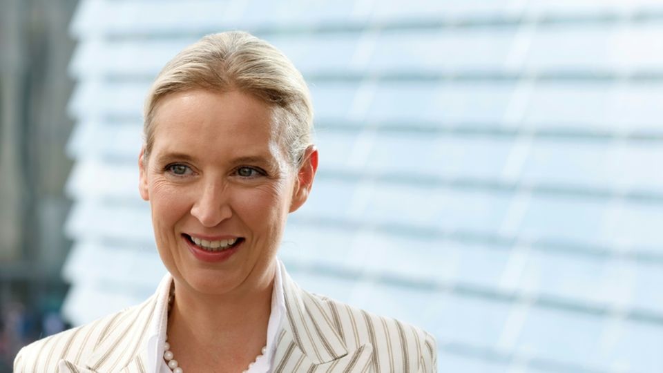 Weidel: "Irgendwo muss sich Putin auch irgendwann bewegen" | STERN.de