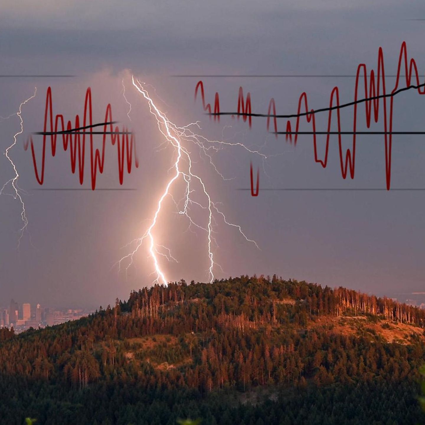 Hitze, Dürren und Starkregen: Extremwetterereignisse gehören auch in Deutschland längst zur neuen Klimanormalität