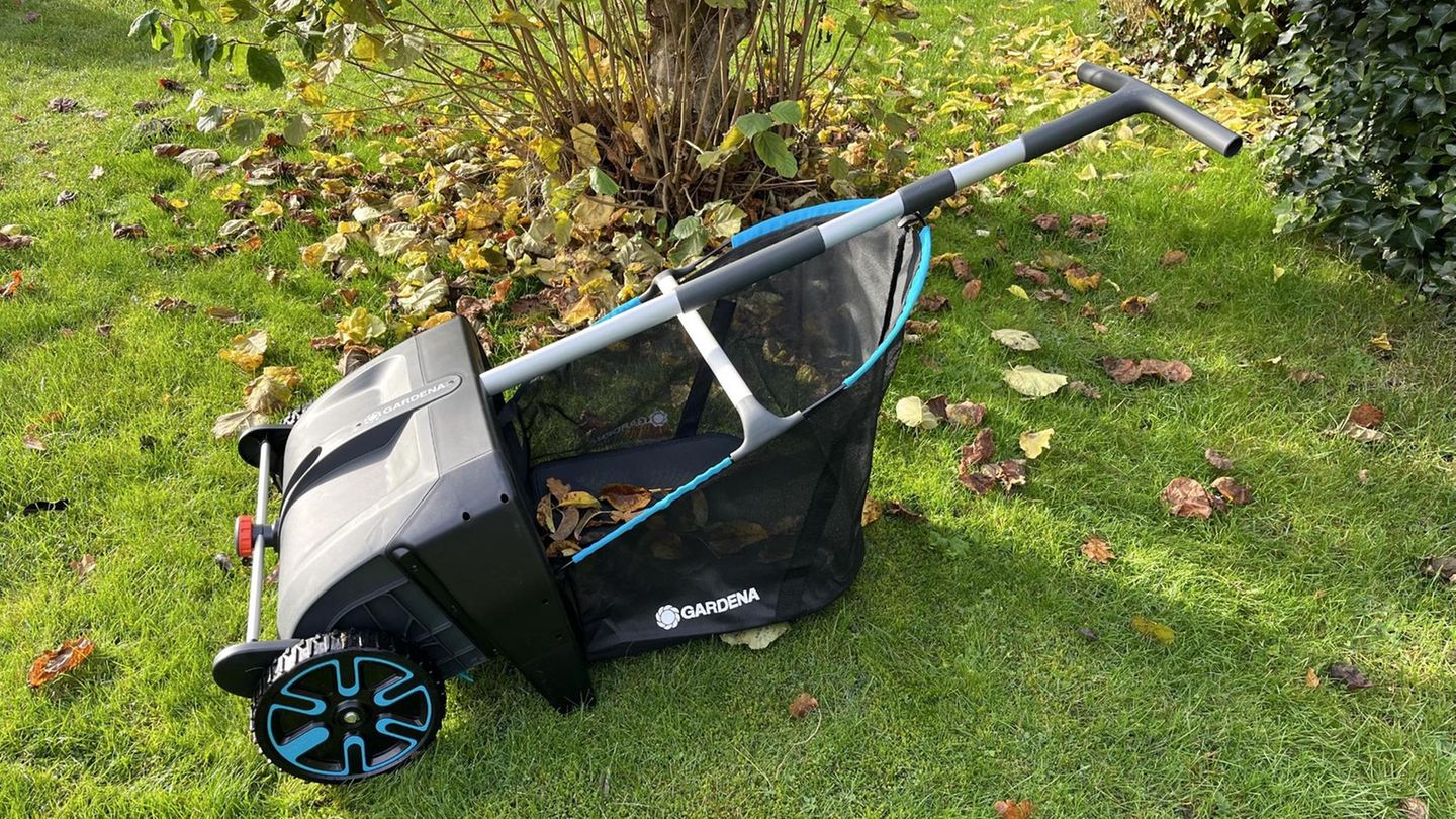 Gardena Laubsammler im Test: So schneidet das Gerät ab | STERN.de