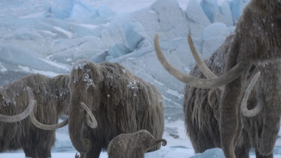 "Ein Planet vor unserer Zeit: Eiszeit" zeigt riesige Gürteltiere und ...