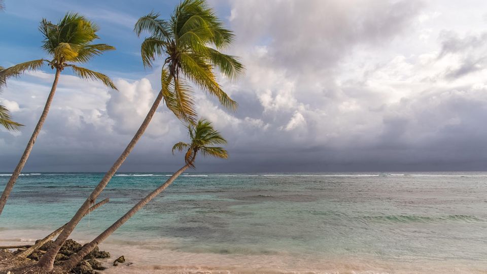 Die schönsten Seiten der Karibik | STERN.de