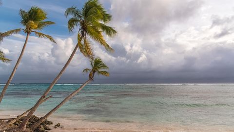 Die schönsten Seiten der Karibik | STERN.de