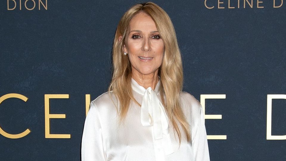 Céline Dion: Weihnachtsvideo im Grinch-Look | STERN.de