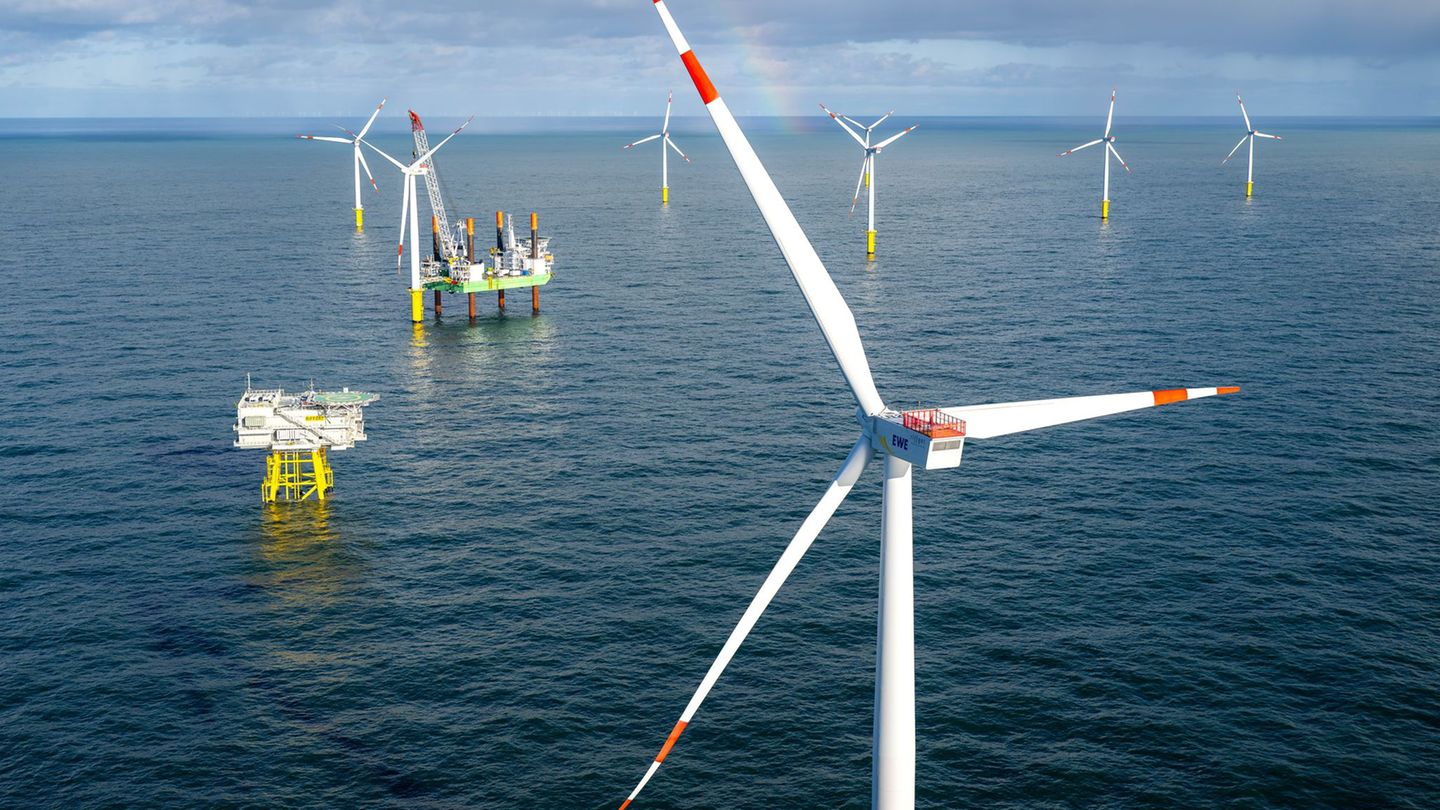 Energie und Umwelt: Umweltorganisationen beklagen vor Gipfel fehlende ...