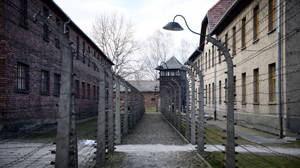 Gedenken: Holocaust-Überlebende: Verteidigen Sie die Demokratie | STERN.de
