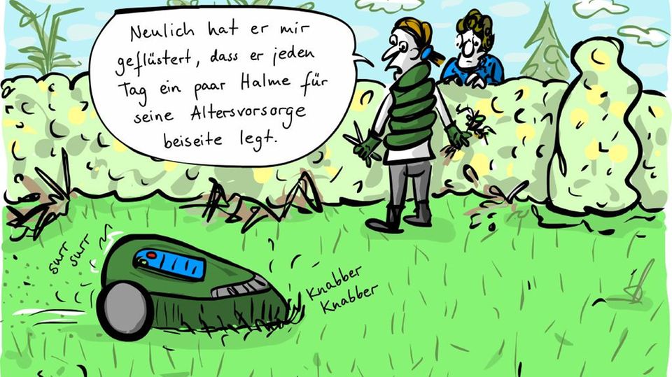Cartoon-Ausstellung in Berlin: Wir zeigen die lustigsten Bilder | STERN.de