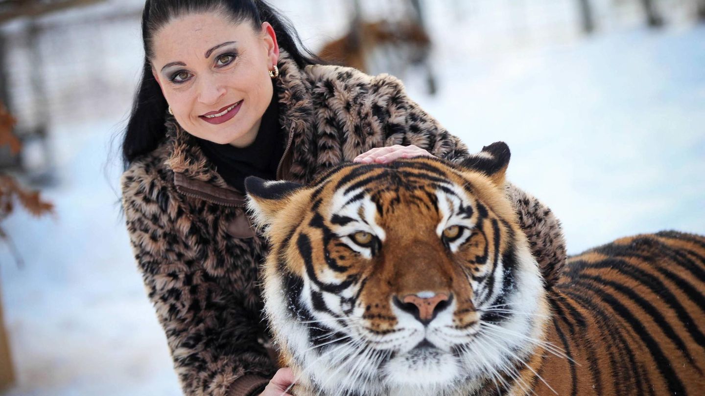 Polizei erschießt entlaufenen Tiger bei Leipzig | STERN.de
