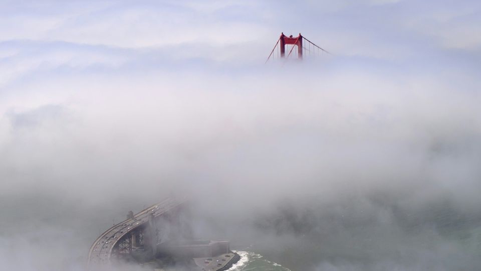 Im Nebel | STERN.de