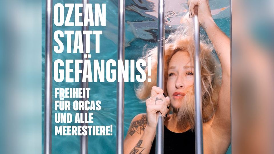 Neue Kampagne gemeinsam mit PETA: Sarah Connor wirbt in Käfig für Orca ...