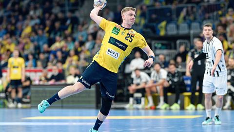 Handball-Bundesliga: Rhein-Neckar Löwen binden Leistungsträger ...