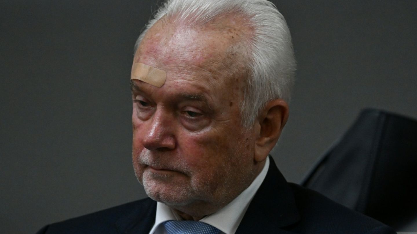 Kubicki fordert drastischen Subventionsabbau und Kürzungen bei ...