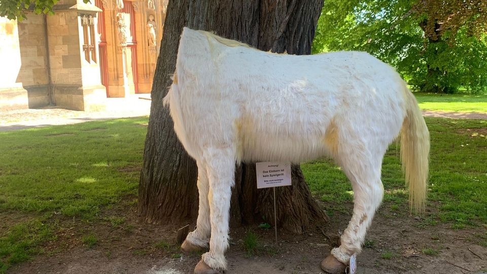 Vandalismus: „Fantastische Wesen“: Einhorn vor Museum geköpft | STERN.de