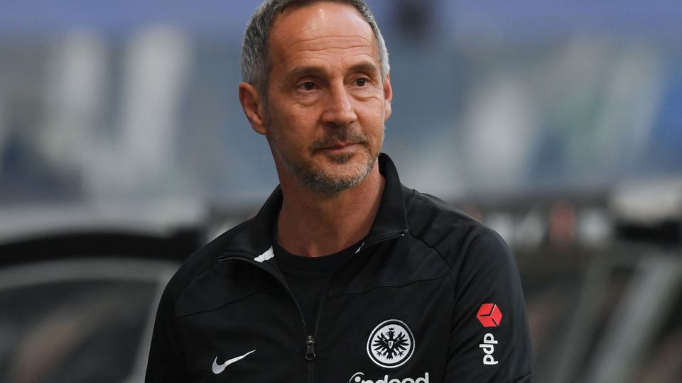 Adi Hütter feiert Comeback als Trainer von Eintracht Frankfurt | STERN.de