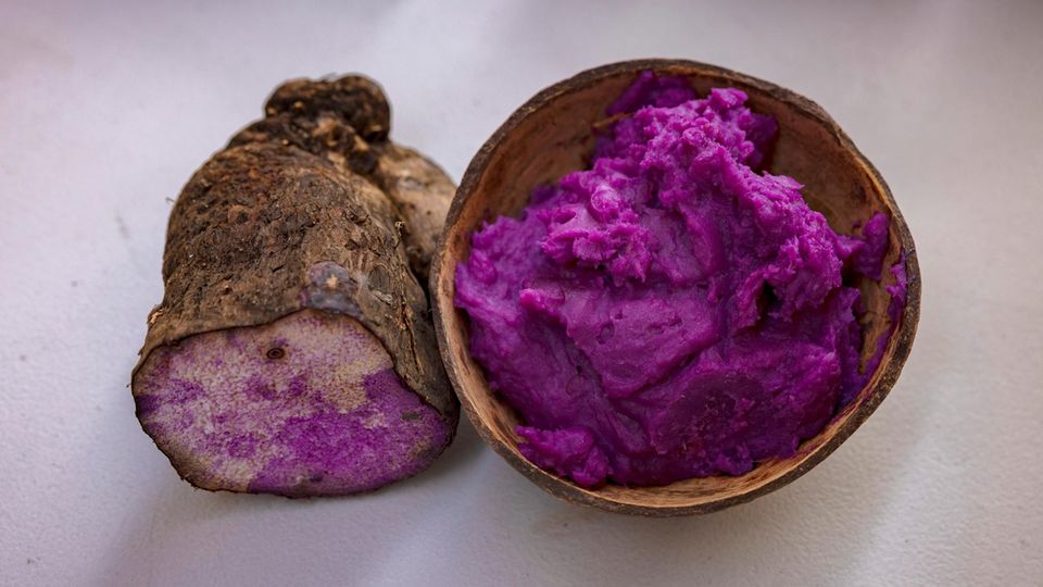Food-Trend Ube: Warum jetzt alle die violette Knolle wollen | STERN.de